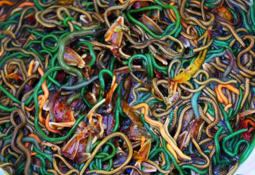 Intip Kemeriahan Festival Pesona Bau Nyale 2020 9-15 Februai Kemaren